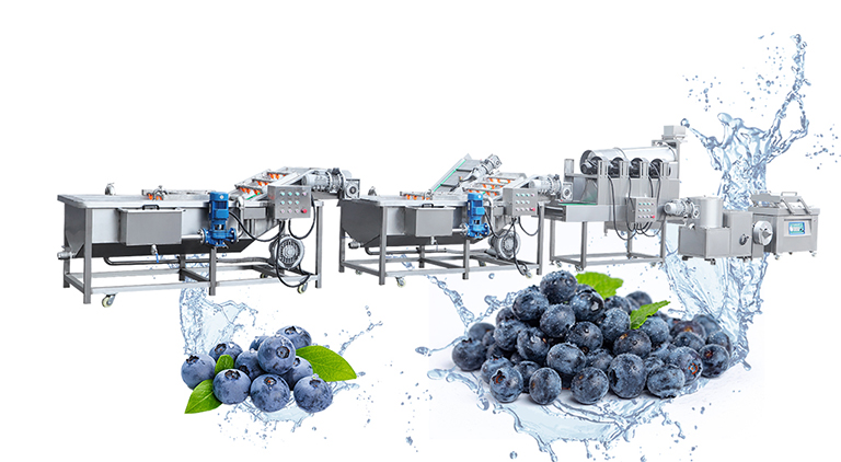 Automatic Blueberry Cleaning Washing Machine With Drying Machine ...