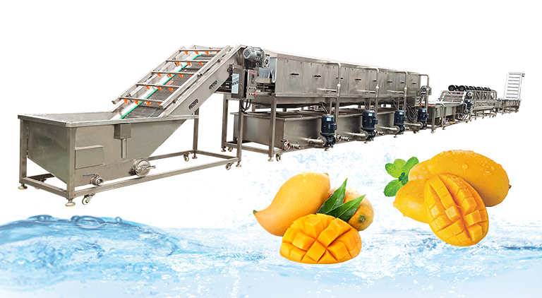 Automatic Mango Washing Processing Machine Line - Zhengzhou Weshine ...