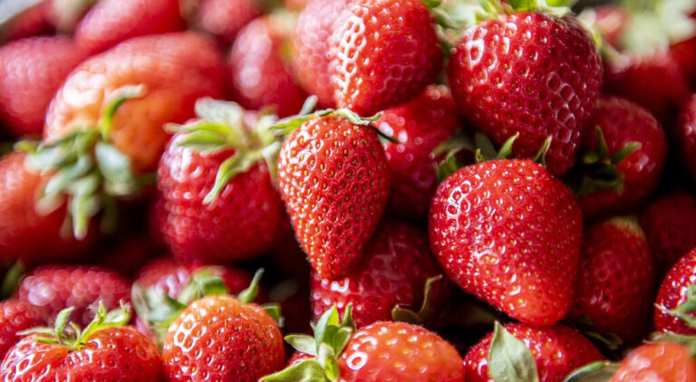 Industrial Strawberry Washing Machine - Zhengzhou Weshine Machinery Co ...